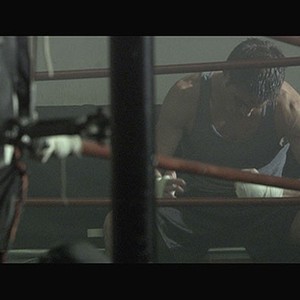 Fighting Tommy Riley - Rotten Tomatoes