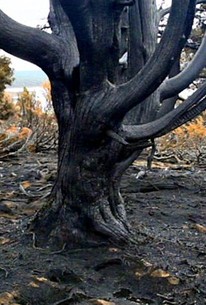 Catalyst: Season 17, Episode 10 | Rotten Tomatoes