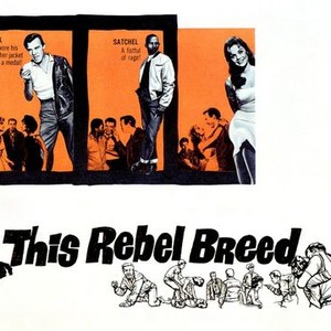 This Rebel Breed - Rotten Tomatoes