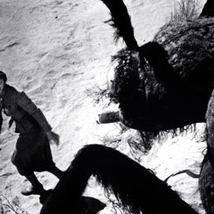 Them! - Rotten Tomatoes