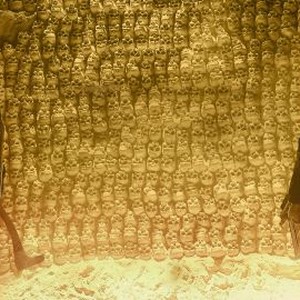 Firebite - Rotten Tomatoes