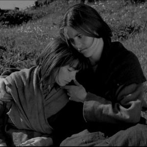 The Juniper Tree - Rotten Tomatoes