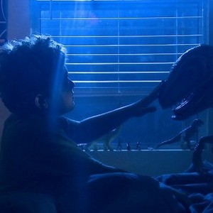 David's Dinosaur - Rotten Tomatoes