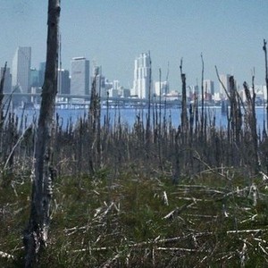 Swamp Wars - Rotten Tomatoes