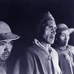 Blood of the Condor - Rotten Tomatoes
