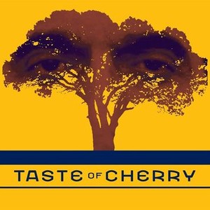Taste of Cherry - Rotten Tomatoes