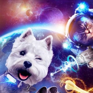 Star Paws - Rotten Tomatoes