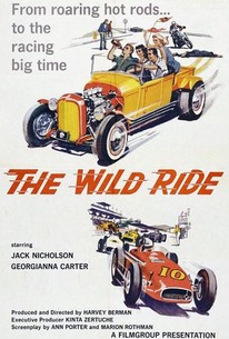 The Wild Ride | Rotten Tomatoes
