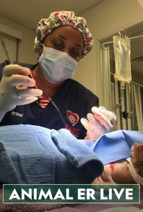 Animal ER Live: Season 1 | Rotten Tomatoes