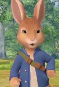 Peter Rabbit: Season 3, Episode 6 - Rotten Tomatoes