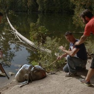 Creature Lake - Rotten Tomatoes