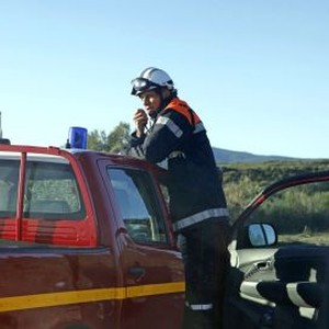 The Brigade - Rotten Tomatoes