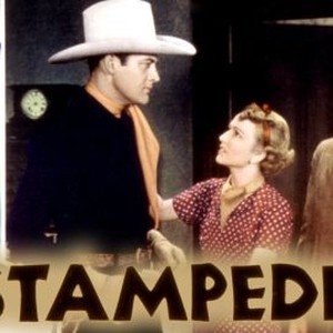 Stampede - Rotten Tomatoes