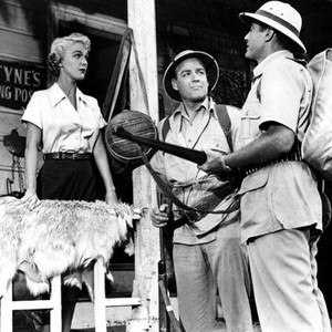 Ray Montgomery - Rotten Tomatoes