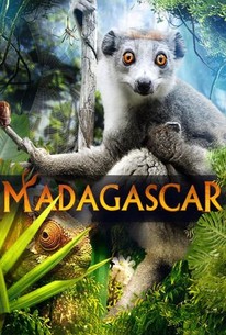 Madagascar - Rotten Tomatoes