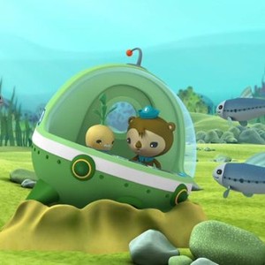 Octonauts: Season 3, Episode 8 - Rotten Tomatoes