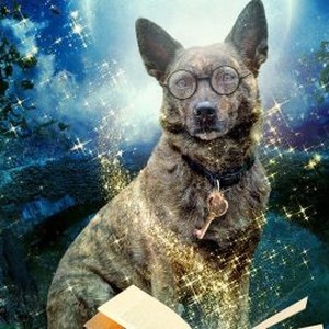 The Amazing Wizard of Paws - Rotten Tomatoes