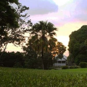 Running for Grace - Rotten Tomatoes