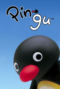 Pingu - Rotten Tomatoes