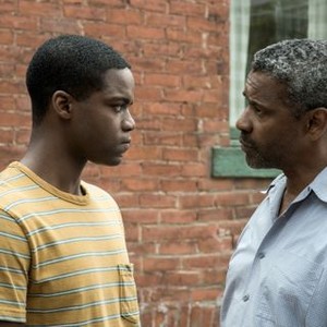 Fences - Rotten Tomatoes