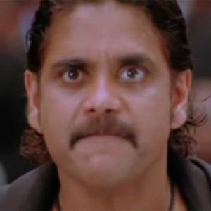 Don - Rotten Tomatoes