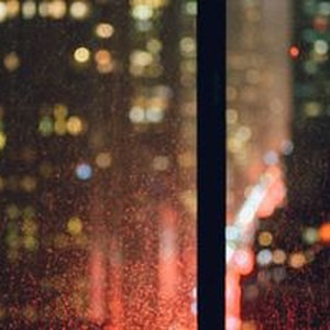 Social Animals - Rotten Tomatoes