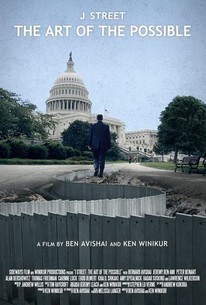 J Street: The Art of the Possible | Rotten Tomatoes
