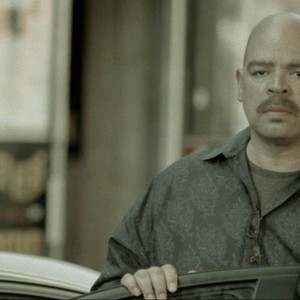 Brian Anthony Wilson - Rotten Tomatoes