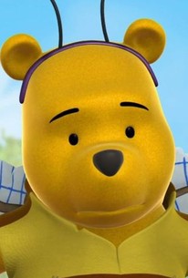 My Friends Tigger & Pooh: Season 2, Episode 6 - Rotten Tomatoes