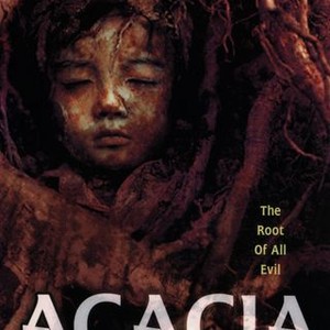 Acacia - Rotten Tomatoes