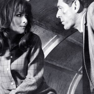 The Limbo Line - Rotten Tomatoes