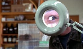 Senseless - Rotten Tomatoes