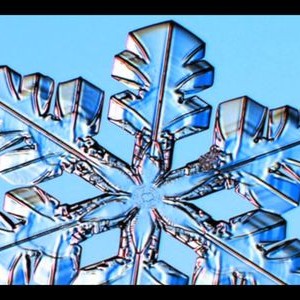 Secret of Water - Rotten Tomatoes