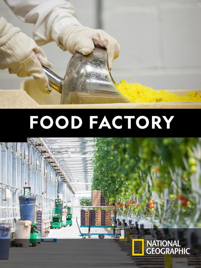 Food Factory Tv Show