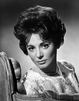 Sandra Church Sandra Church IMDb