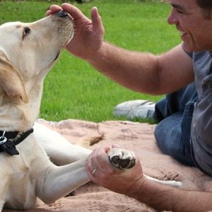 Curiosity Quest - Rotten Tomatoes