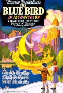 The Blue Bird | Rotten Tomatoes