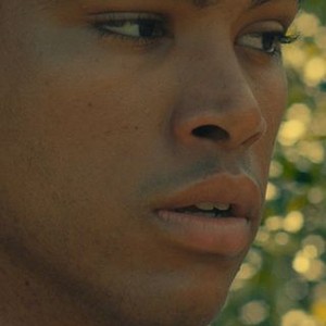 King Car - Rotten Tomatoes
