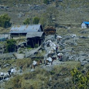 Baato - Rotten Tomatoes