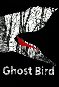 Ghost Bird | Rotten Tomatoes