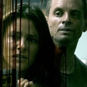 Splinter - Rotten Tomatoes