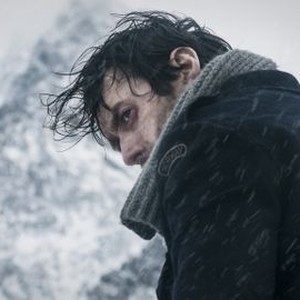 The 12th Man - Rotten Tomatoes