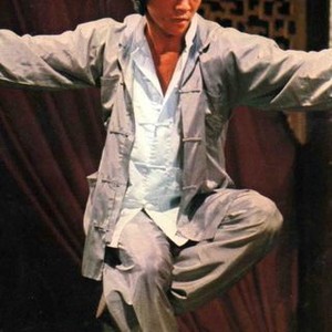 Kung Fu Zombie - Rotten Tomatoes