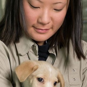 Animal Cops: Detroit: Season 13, Episode 20 - Rotten Tomatoes