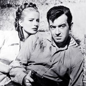 The Vanquished - Rotten Tomatoes