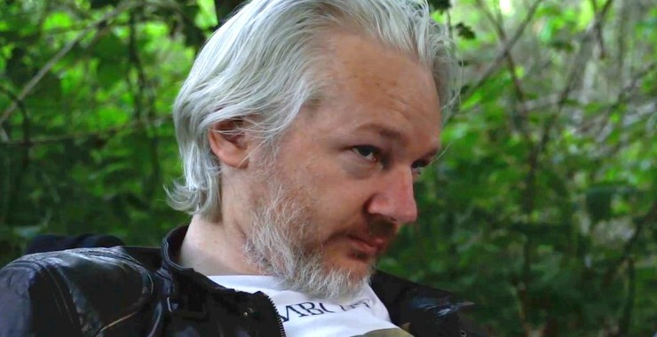 Risk - Rotten Tomatoes