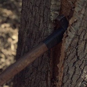 Cork - Rotten Tomatoes