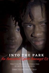 Into the Park | Rotten Tomatoes