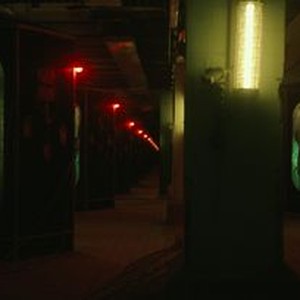 The Lair - Rotten Tomatoes