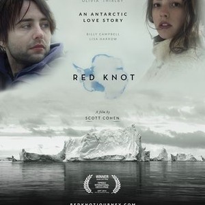 Red Knot - Rotten Tomatoes